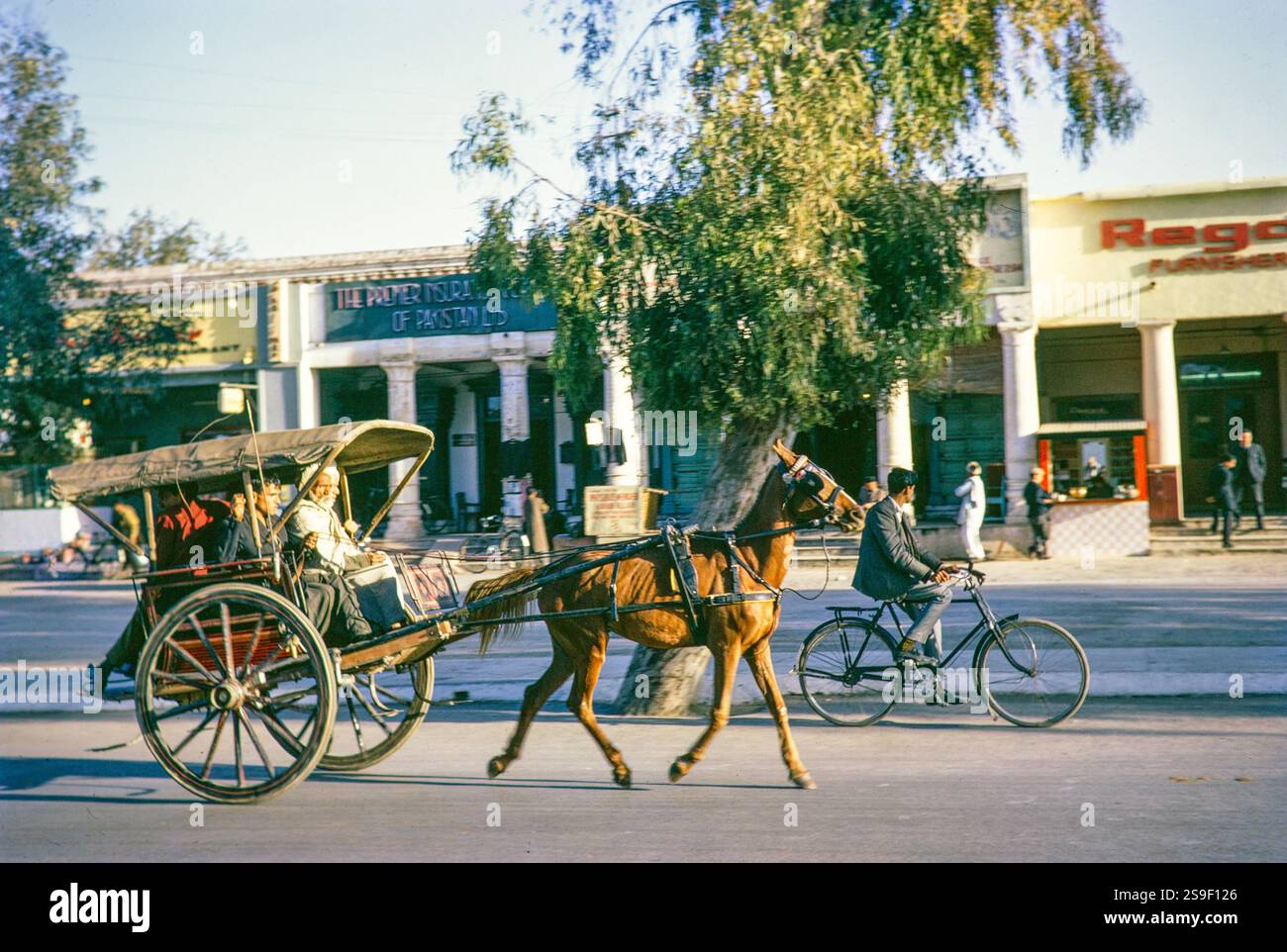 Horse and carriage, a tonga or tanga two wheeled cart drawn by a single ...