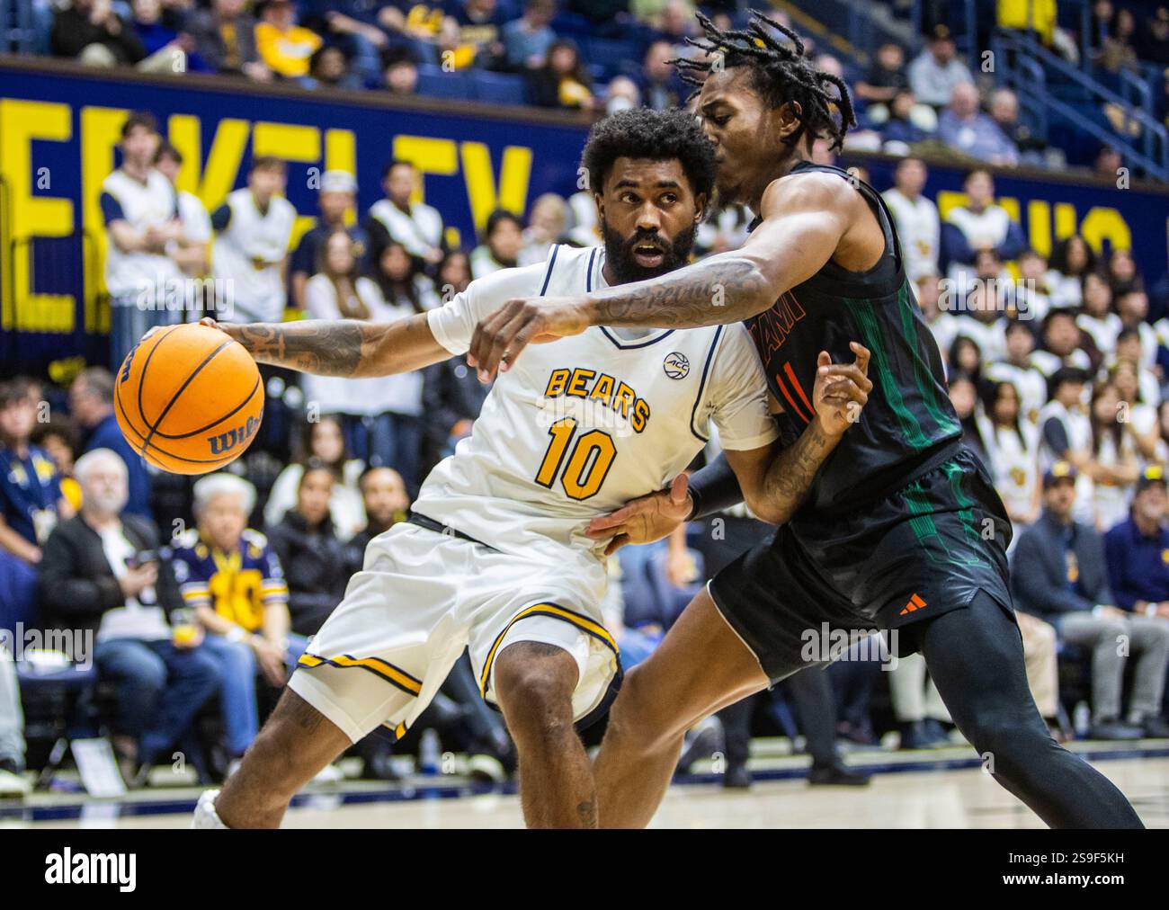 2025 _0592 jpg hi-res stock photography and images - Alamy