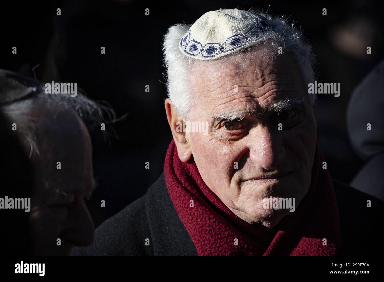 Auschwitz hair hi-res stock photography and images - Alamy
