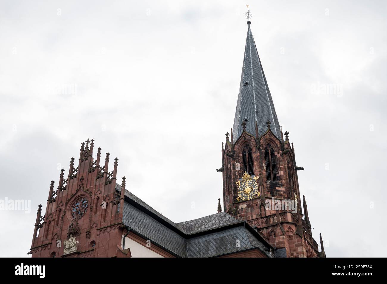 26 January 2025, Bavaria, Aschaffenburg: The bell tower of the ...