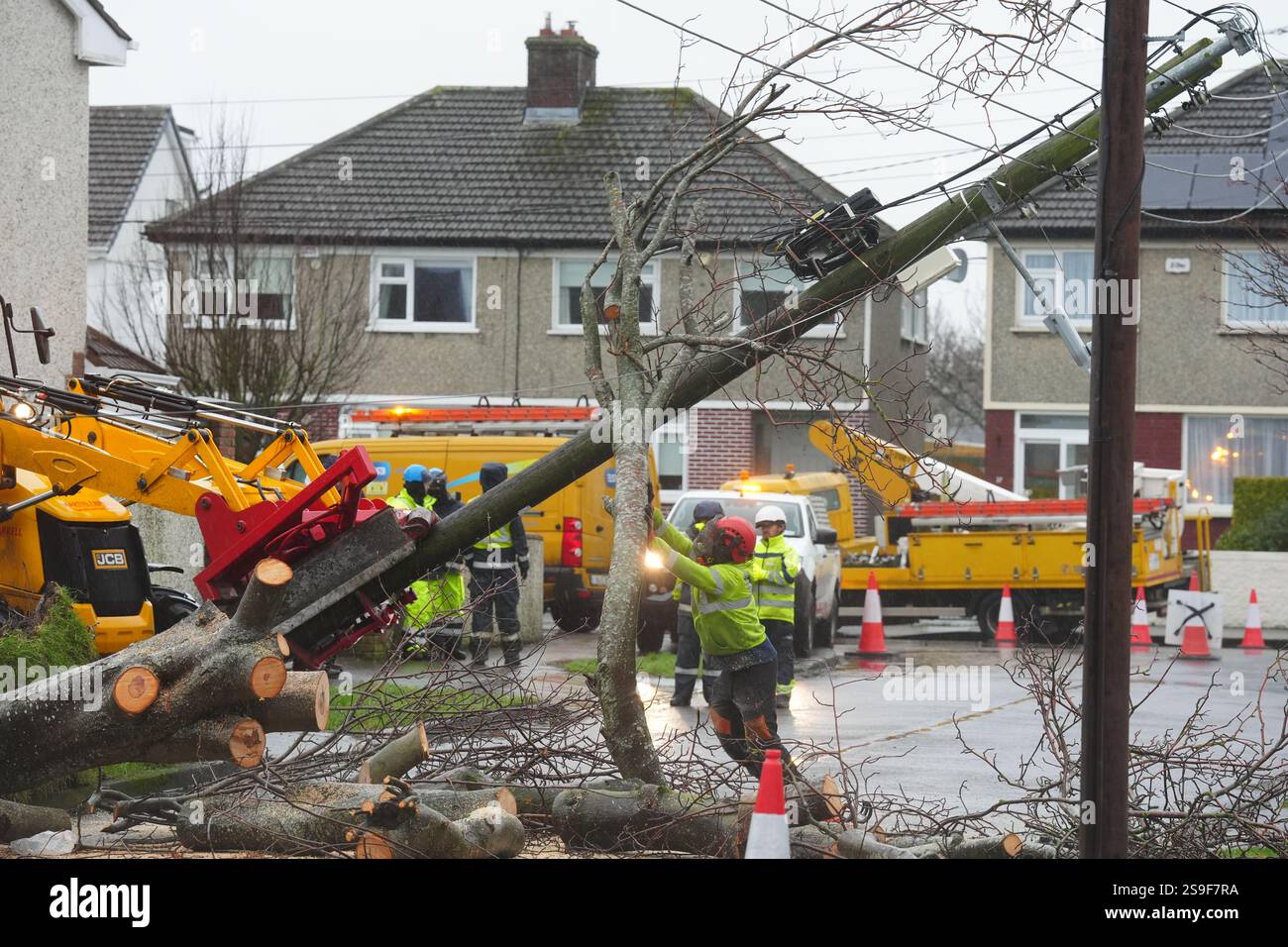 Workers clearing a fallen tree on Grove Park Drive in Dublin as ESB ...