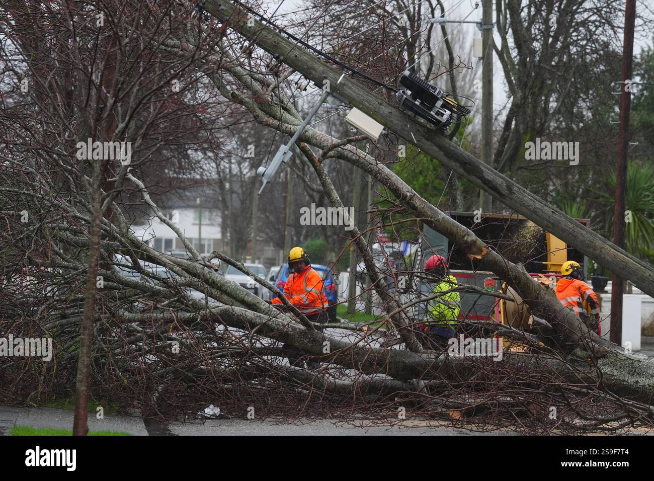Workers clearing a fallen tree on Grove Park Drive in Dublin as ESB ...