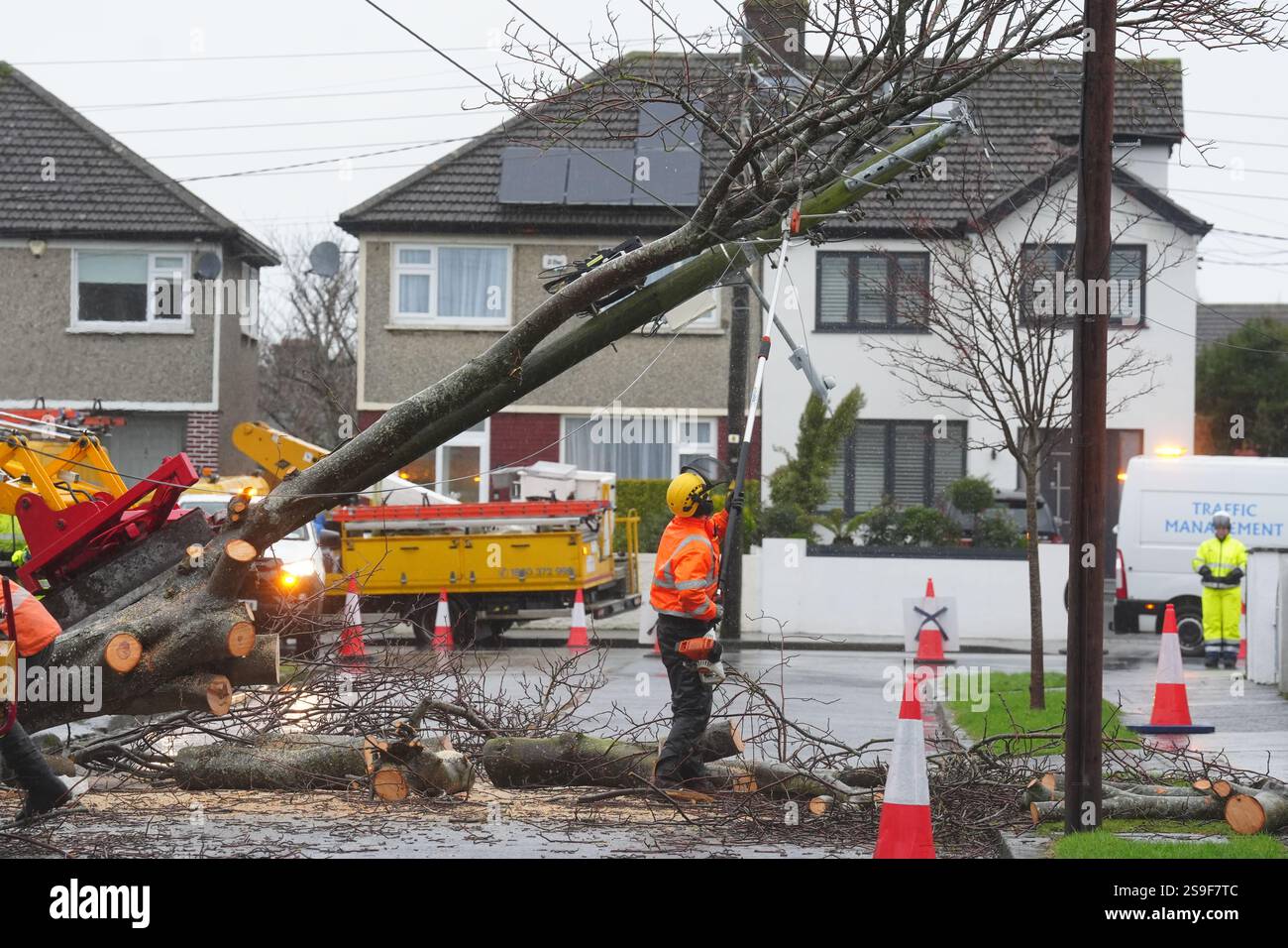 Workers clearing a fallen tree on Grove Park Drive in Dublin as ESB ...