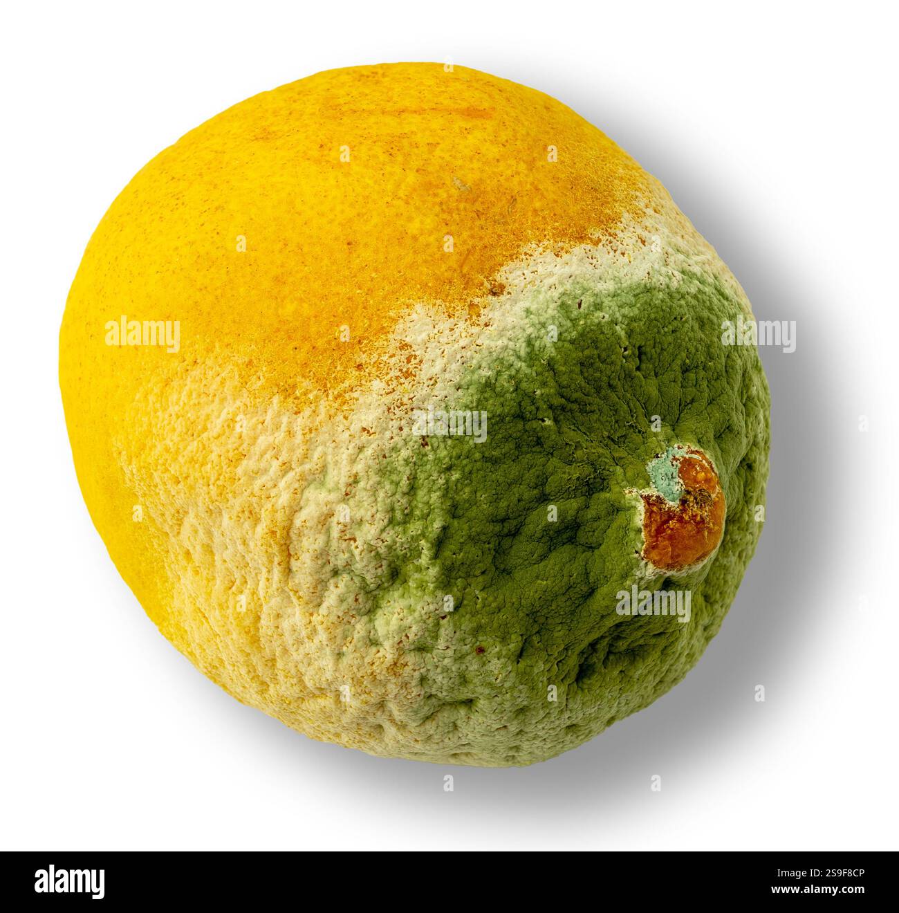 Highlighting effects Cut Out Stock Images & Pictures - Alamy