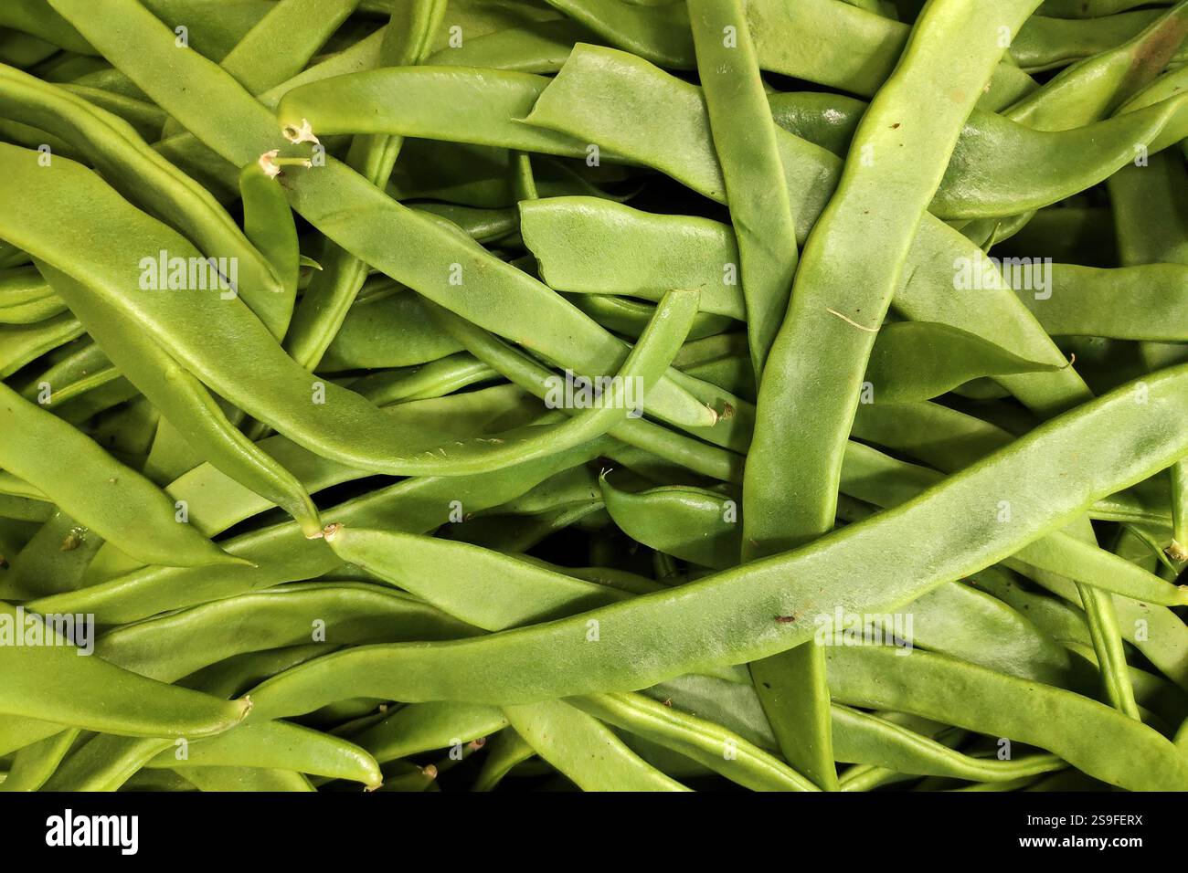 Full frame close up on a stack of Flat beans (also known as helda beans and romano beans) on a ...