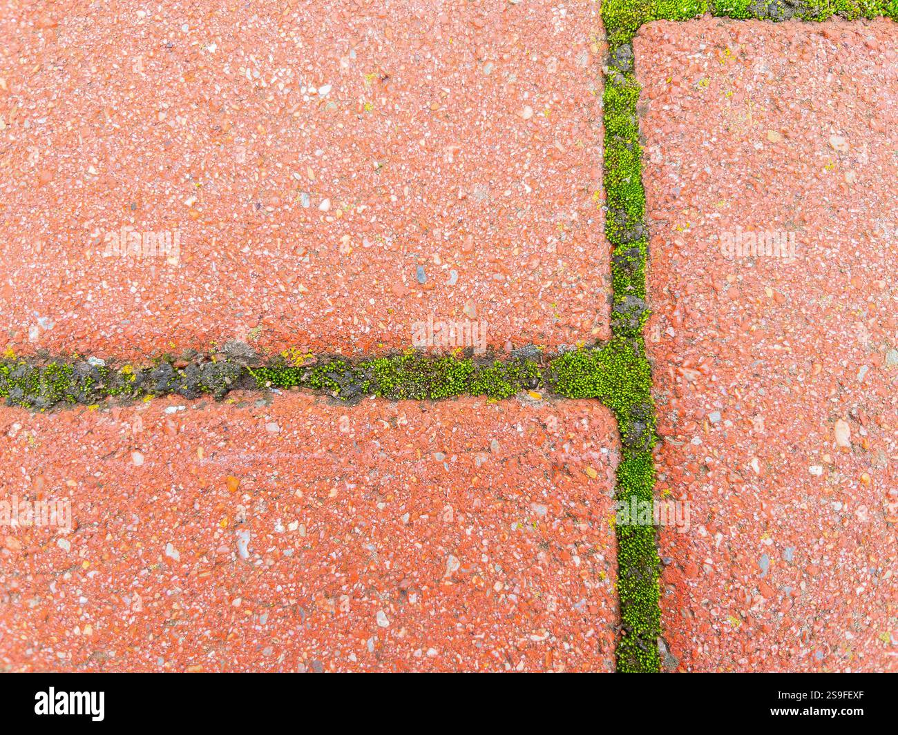 Old red pavement stone texture as background Stock Photo - Alamy