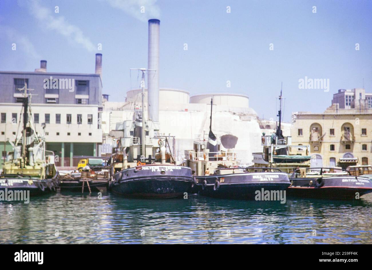 Maltese Terrier, Bull Terrier, British Terrier, tug boats Ta' Xbiex ...