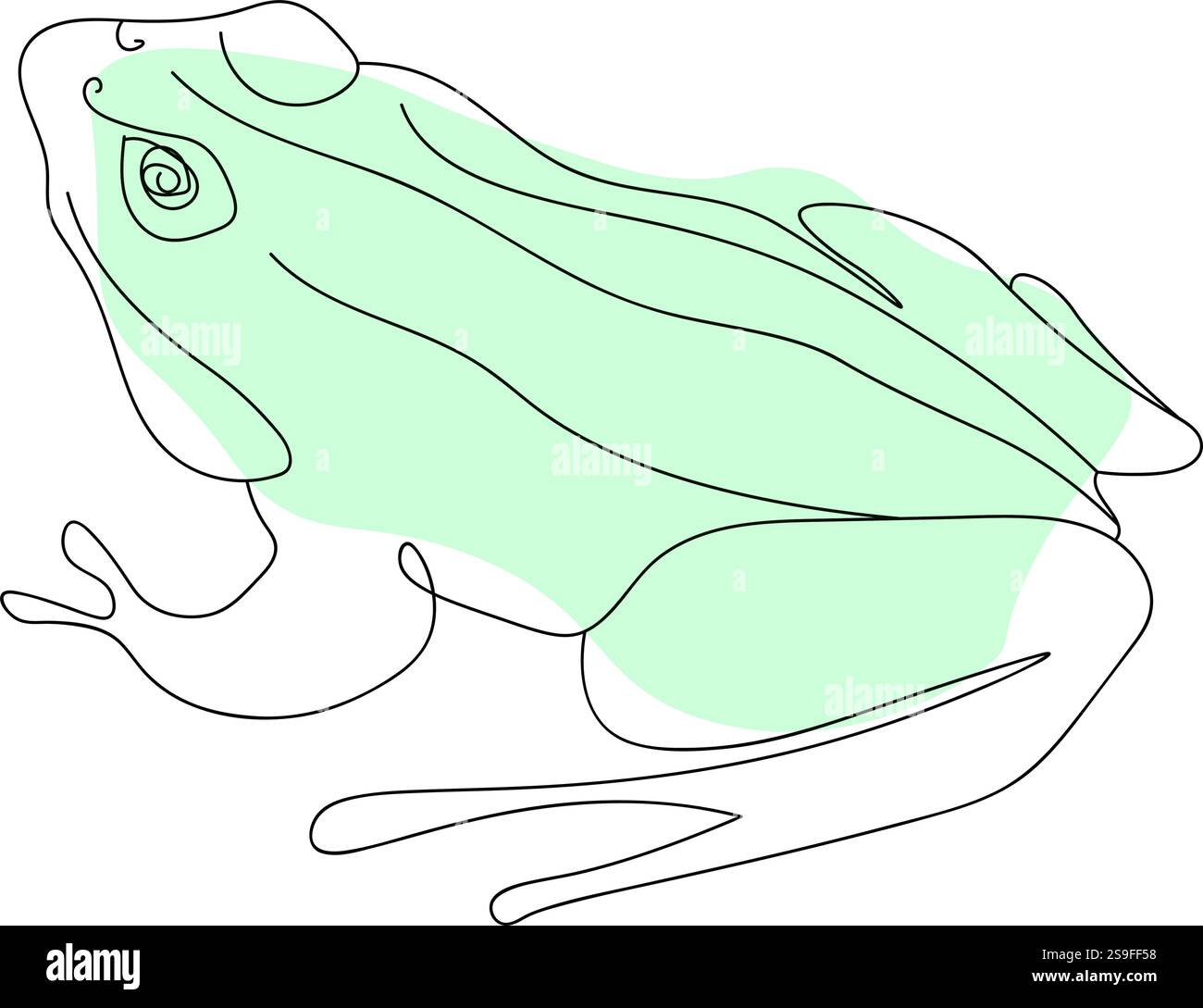 Frog line art hi-res stock photography and images - Alamy