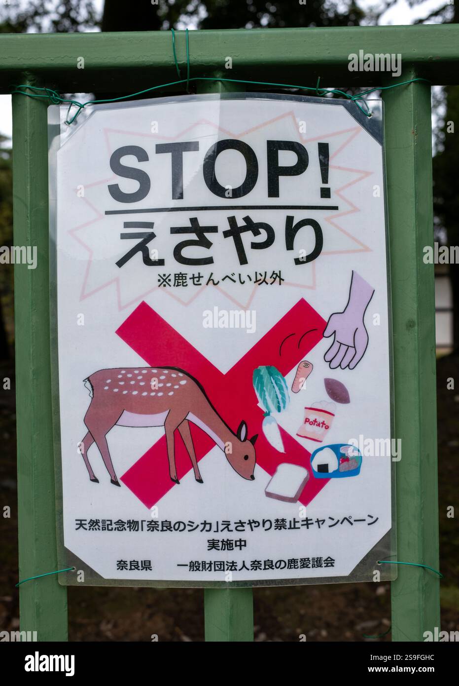 Stop Feeding the Deer sign at Nara Park in Nara Japan Stock Photo - Alamy