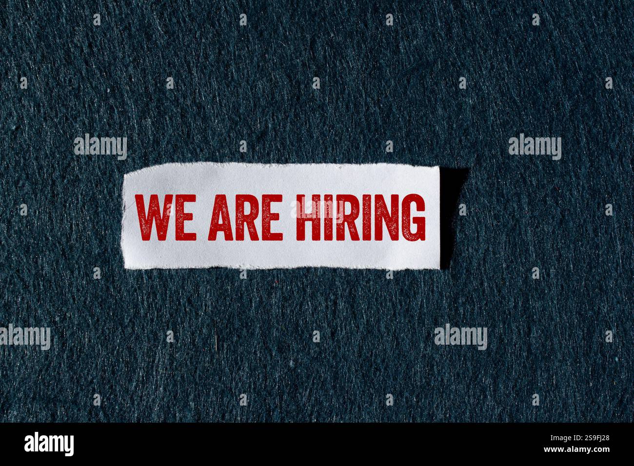 We are hiring message written on ripped torn paper piece with gray background. Conceptual we are ...