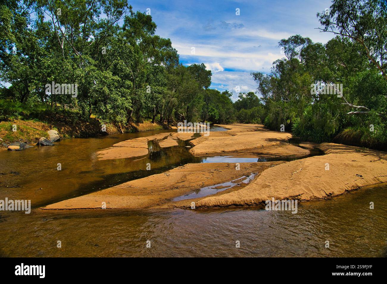 Tree lined river with sand bars and clear water in the Western ...