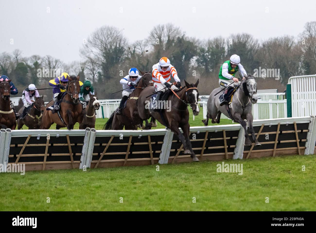Deep cave horse racing hi-res stock photography and images - Alamy