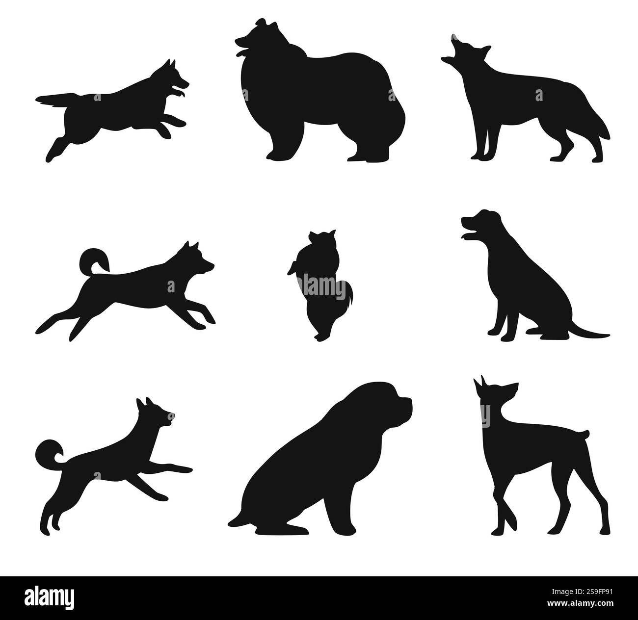 Running labrador Black and White Stock Photos & Images - Alamy