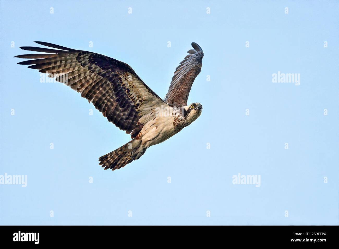 Flyby hi-res stock photography and images - Alamy