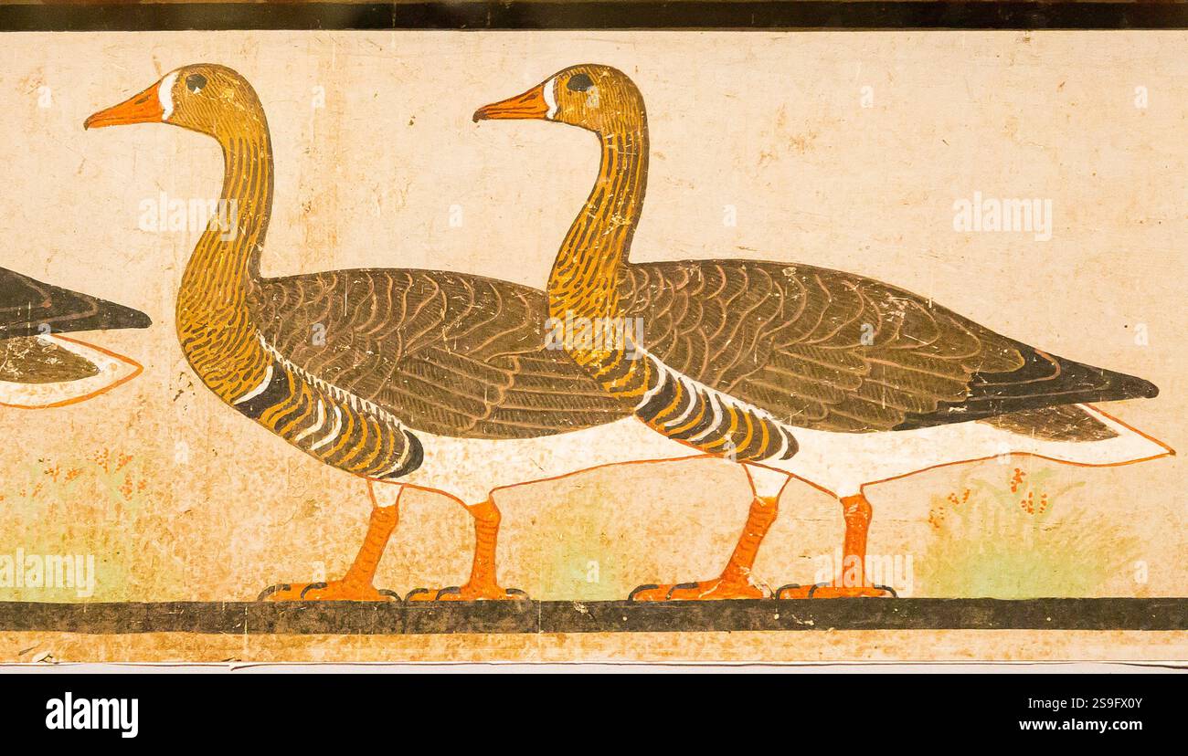 Egyptian Museum Cairo, mastaba of Nefermaat, chapel of Itet, Maidum ...