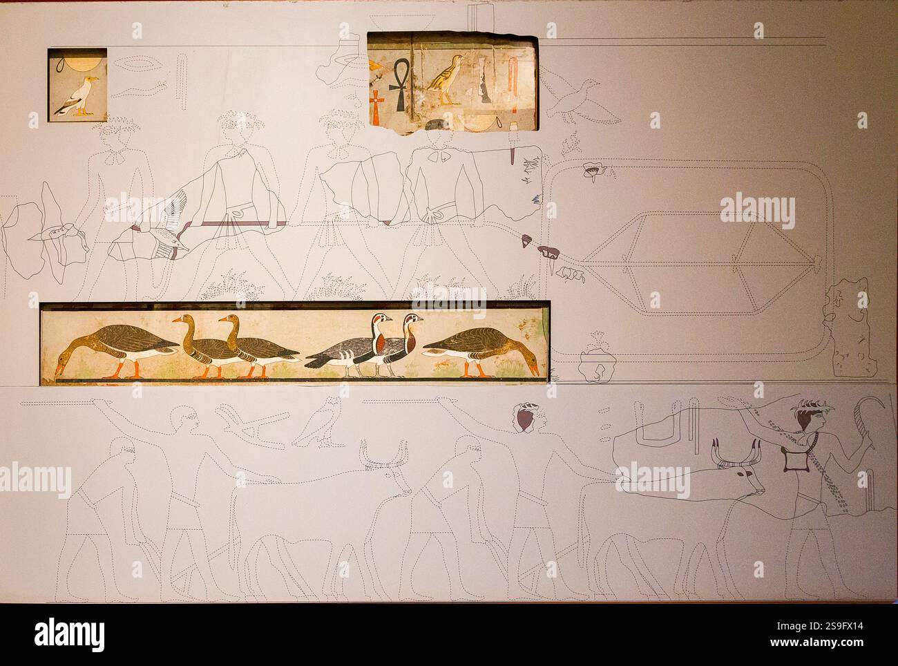 Egypt, Egyptian Museum Cairo, from the mastaba of Nefermaat, chapel of ...