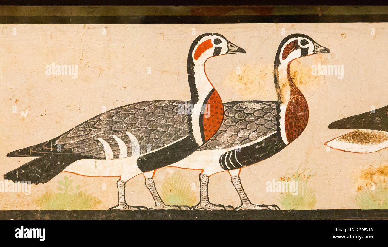 Egyptian Museum Cairo, mastaba of Nefermaat, chapel of Itet, Maidum ...