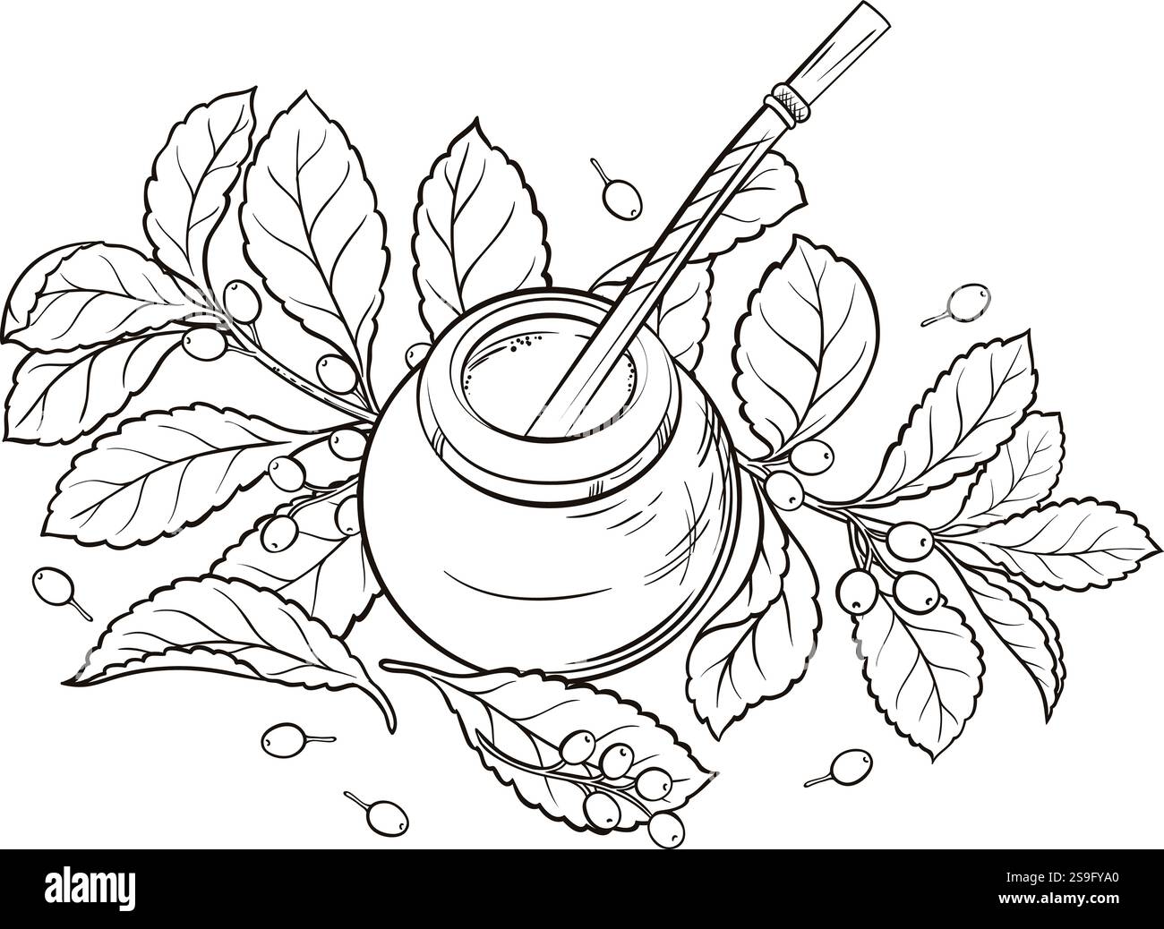 Mate Tea in Calabash Outline Illustration Stock Vector Image & Art - Alamy
