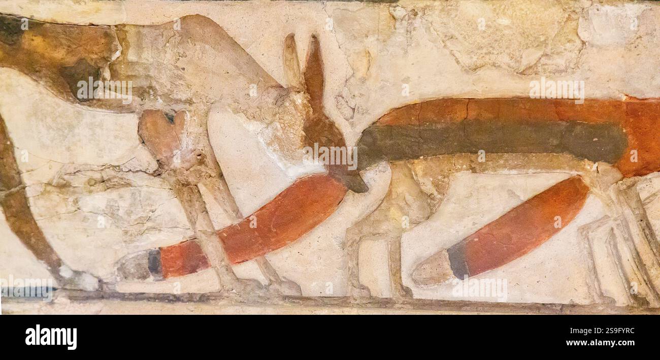 Cairo, Egyptian Museum, the tomb of Nefermaat and Itet (Meidum), chapel ...