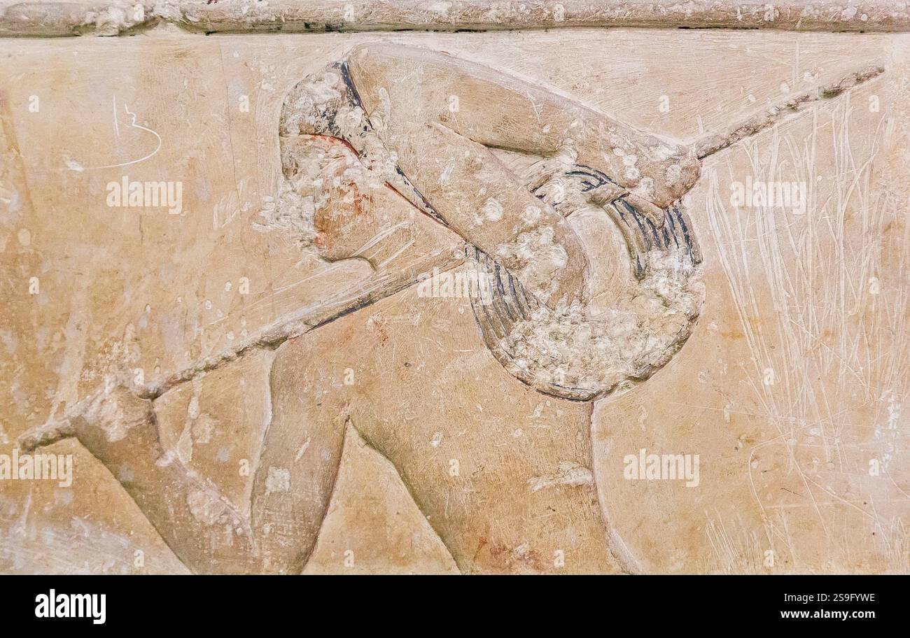 Egyptian Museum Cairo, reliefs coming from the Rahotep mastaba, in the ...