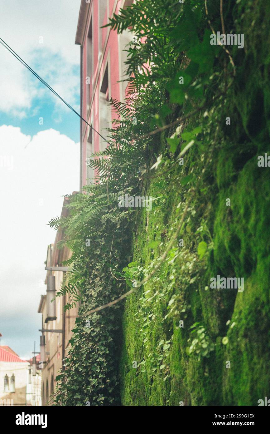 Museo de pontevedra hi-res stock photography and images - Alamy