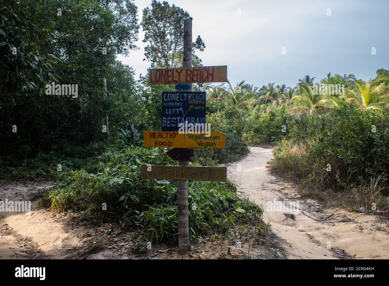 Koh Rong, Cambodia, January 24, 2025 Paths through the jungle to reach the Lonely Beach, a ...