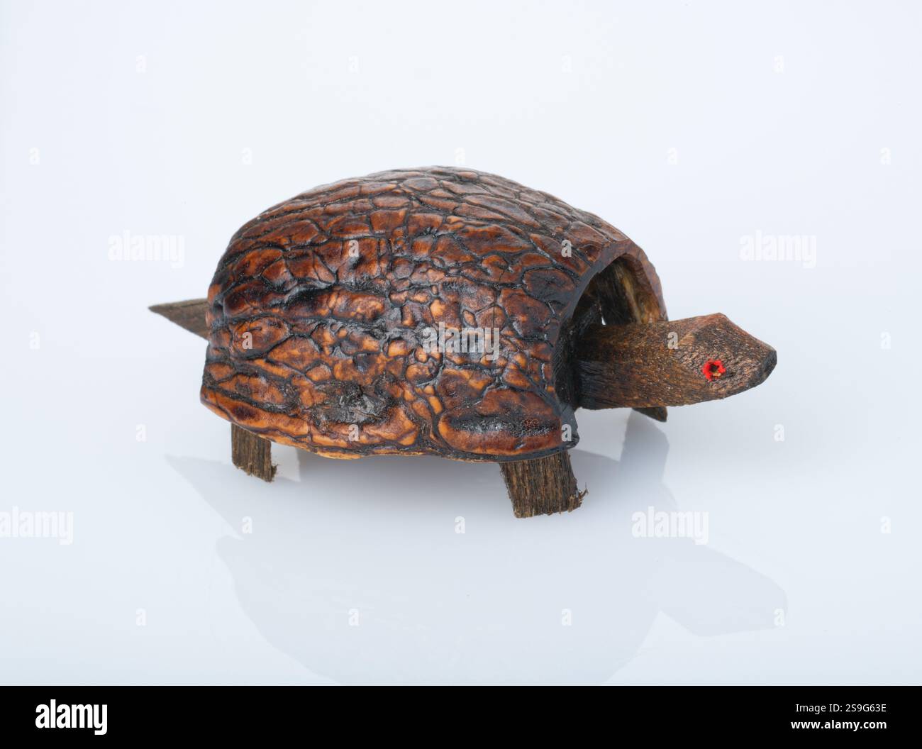 Tortoise head inside shell hi-res stock photography and images - Alamy