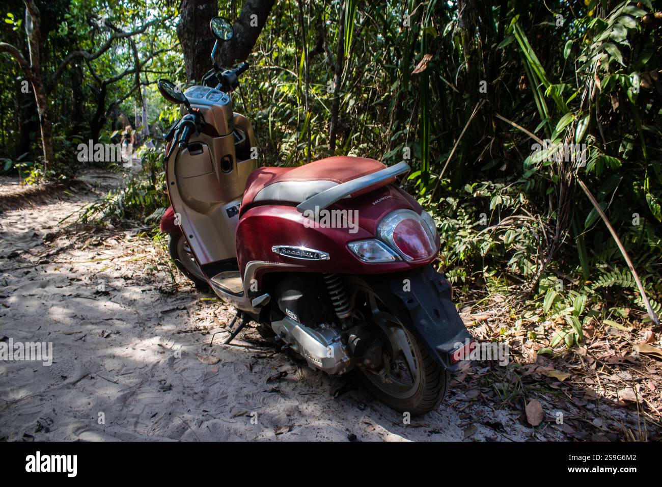 Koh Rong, Cambodia, January 24, 2025 Paths through the jungle to reach the Lonely Beach, a ...