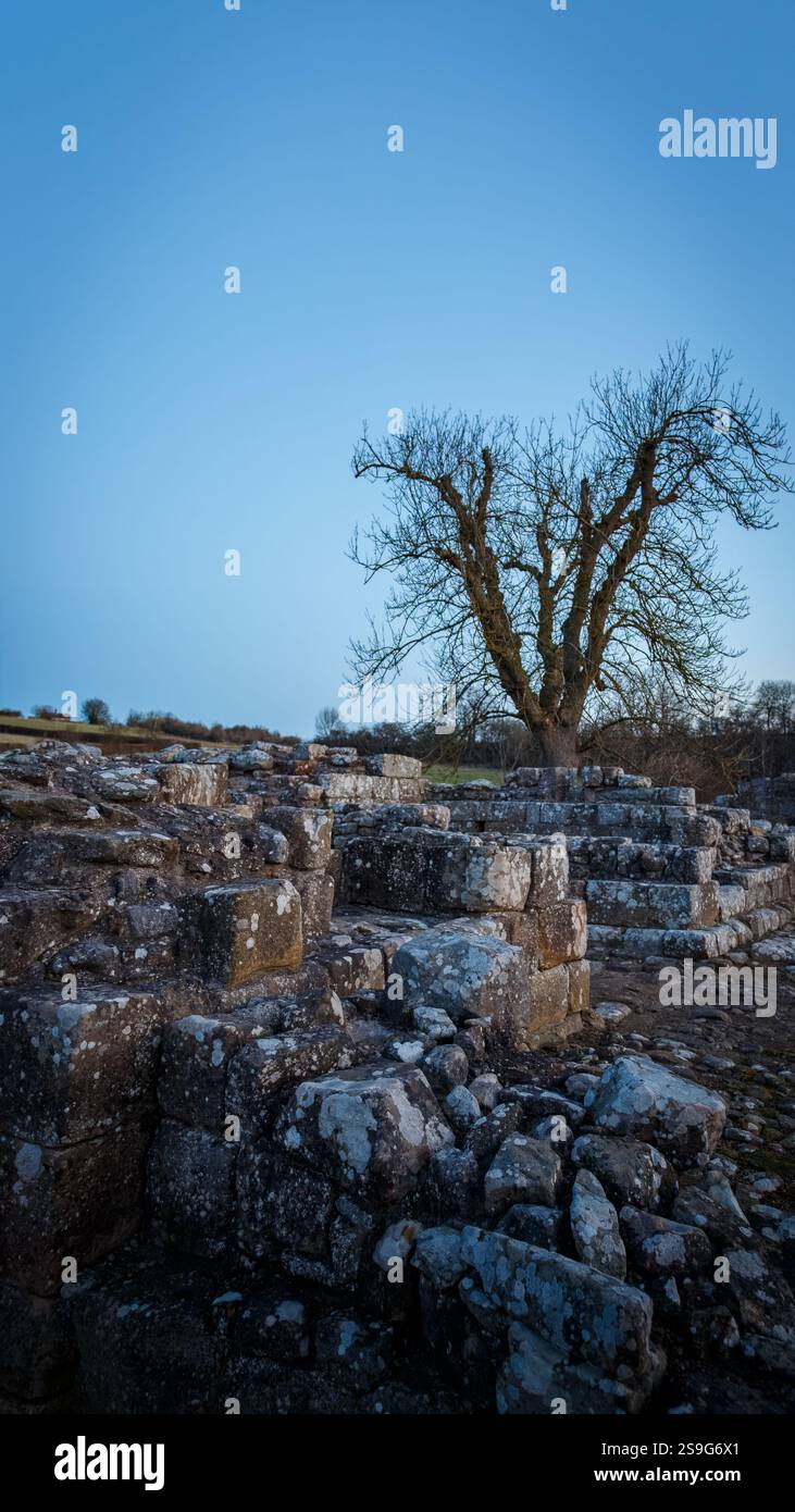 Edlingham Castle is a small castle ruin, having scheduled monument and ...