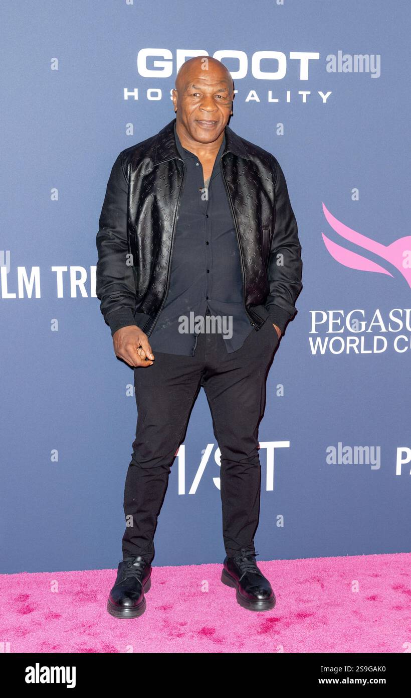 HALLANDALE, FLORIDA - JANUARY 25: Mike Tyson attends Pegasus World Cup ...