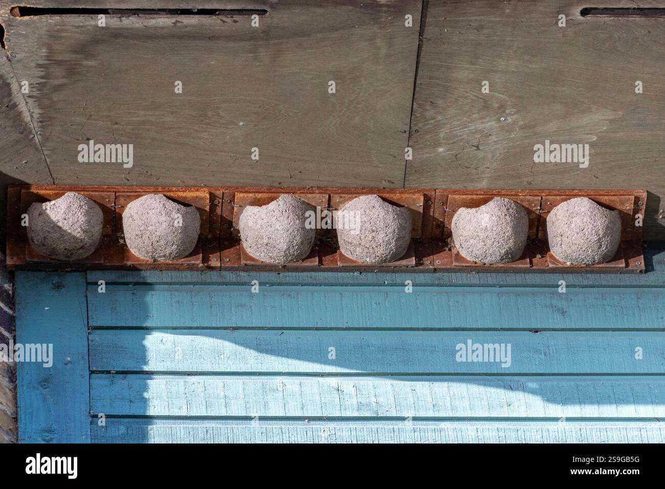 A row of house martin nest box cups Stock Photo - Alamy