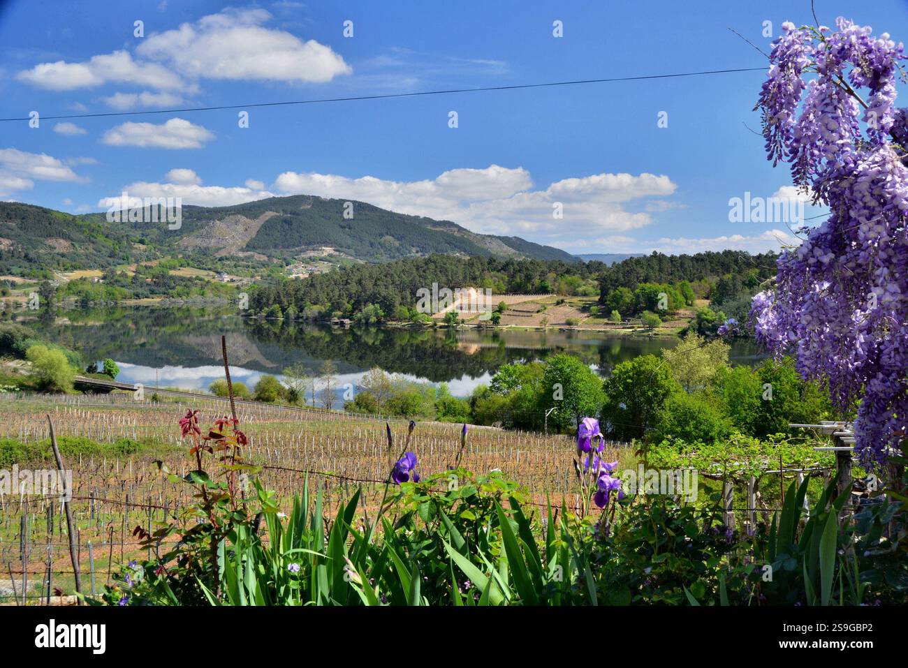Mino river spring hi-res stock photography and images - Alamy