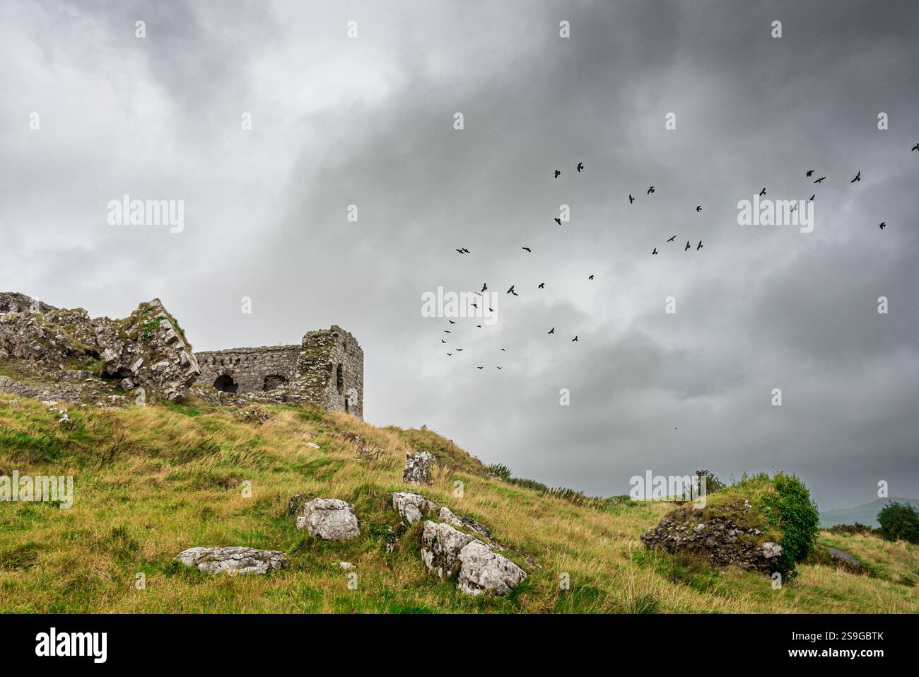 Ruins of an old irish castle, murder of crows in the sky, moody ...