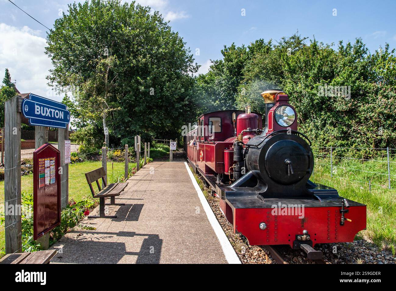 No.9 Mark Timothy narrow gauge steam locomotive, with distinctive ...