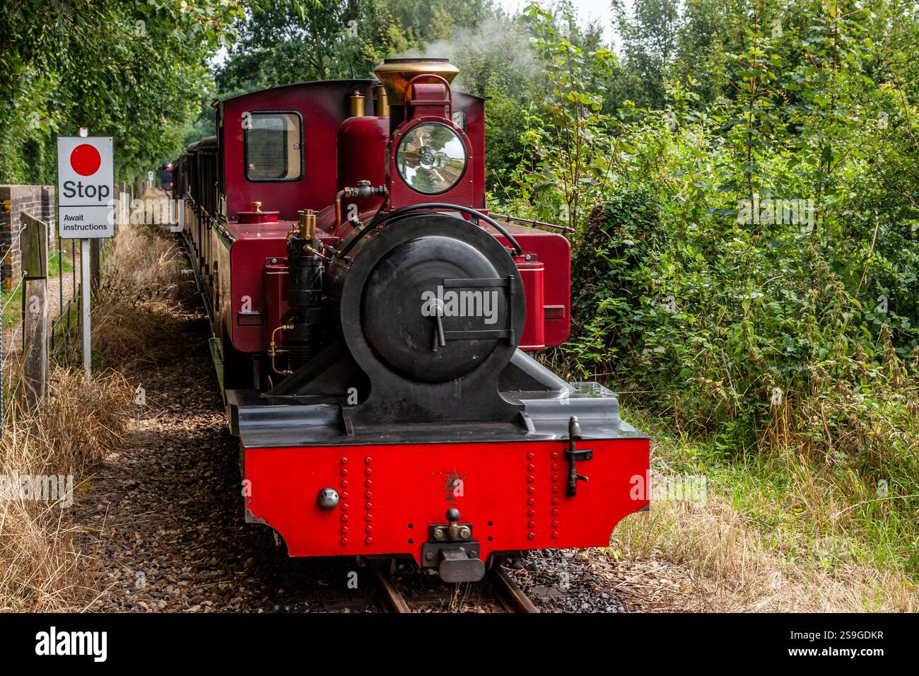No.9 Mark Timothy narrow gauge steam locomotive, with distinctive ...