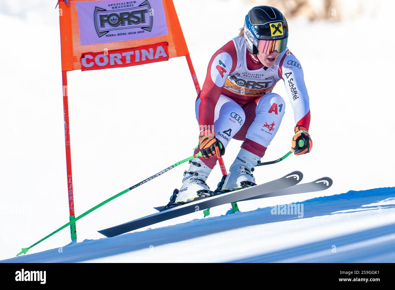 Egger magdalena hi-res stock photography and images - Alamy