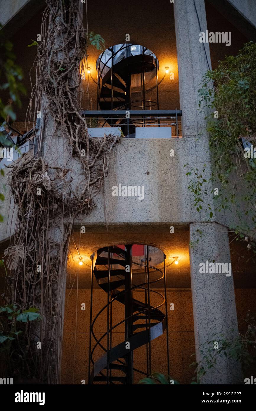 The views inside the Barbican Conservatory Glass-roofed, leafy ...