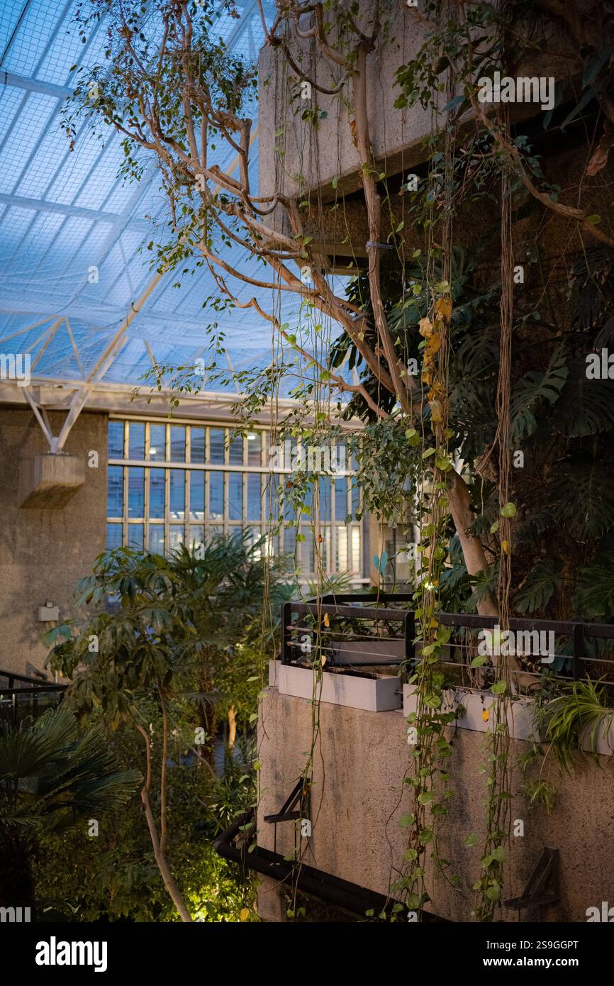 The views inside the Barbican Conservatory Glass-roofed, leafy ...