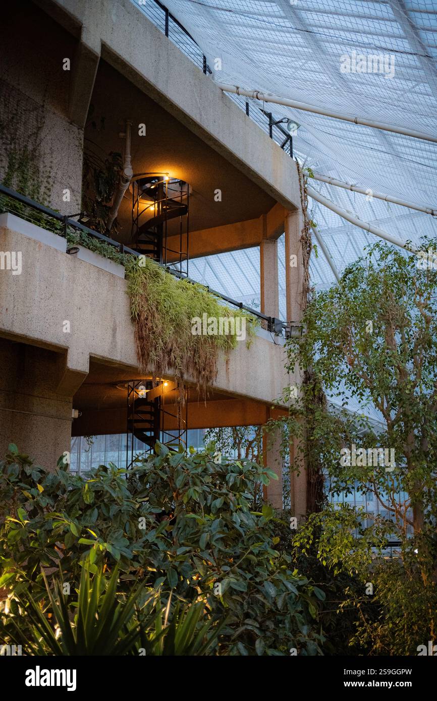 The views inside the Barbican Conservatory Glass-roofed, leafy ...