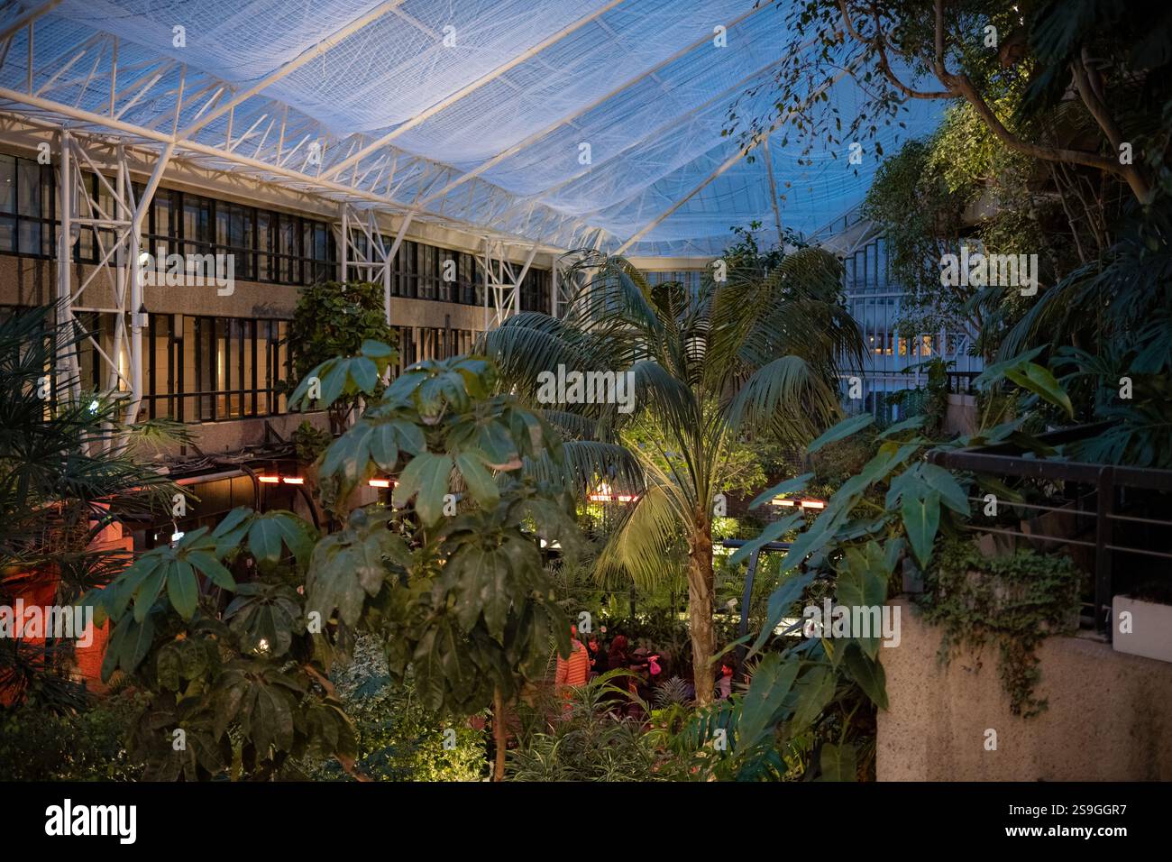 The views inside the Barbican Conservatory Glass-roofed, leafy ...