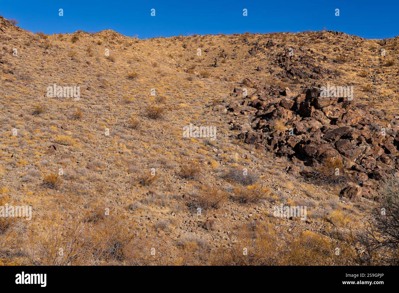 The majestic landscape of the Mojave Desert in Southern California ...