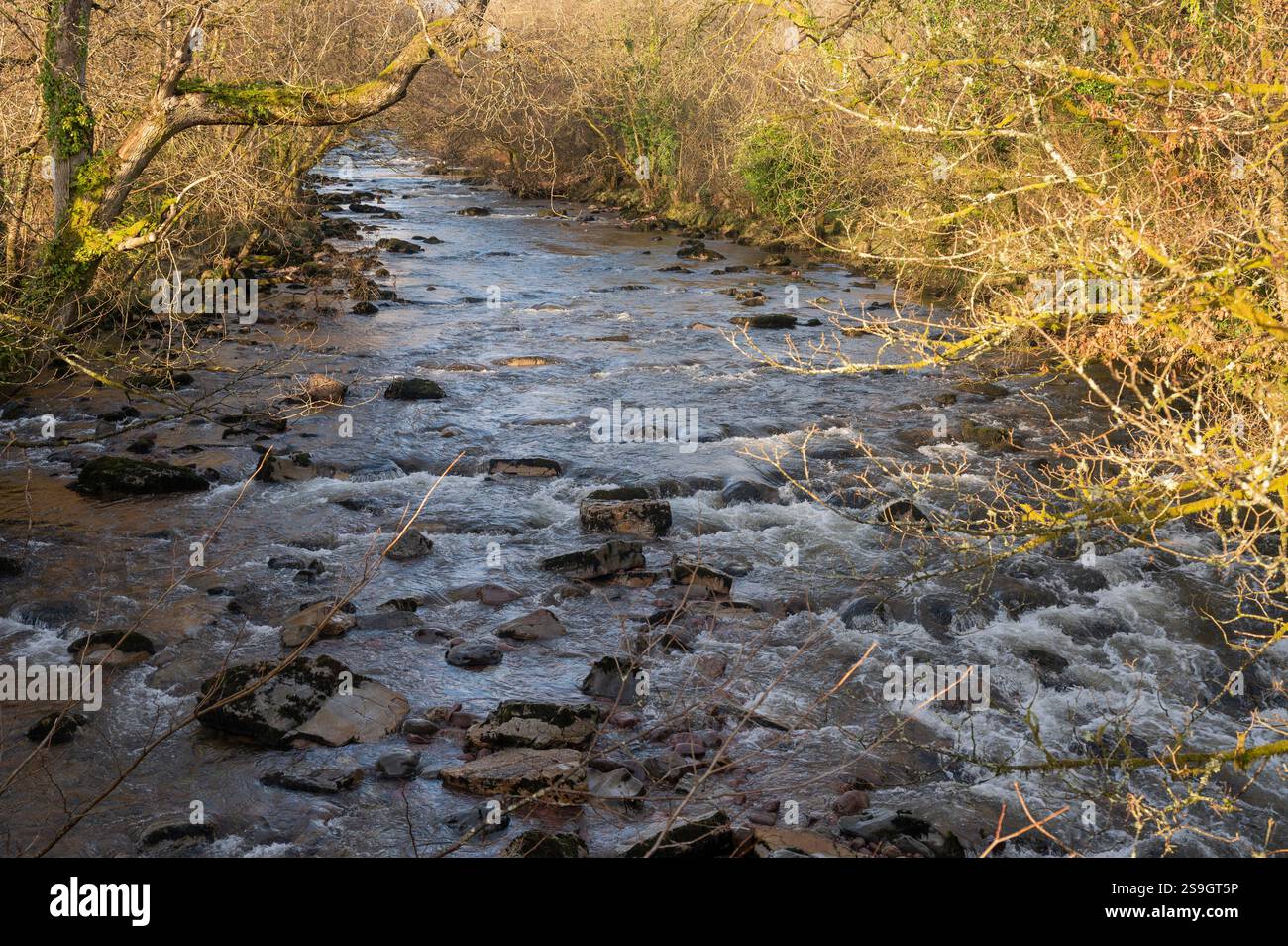 The River Tawe at Pen-y-cae in the Tawe Valley, Powys, Wales, UK Stock ...