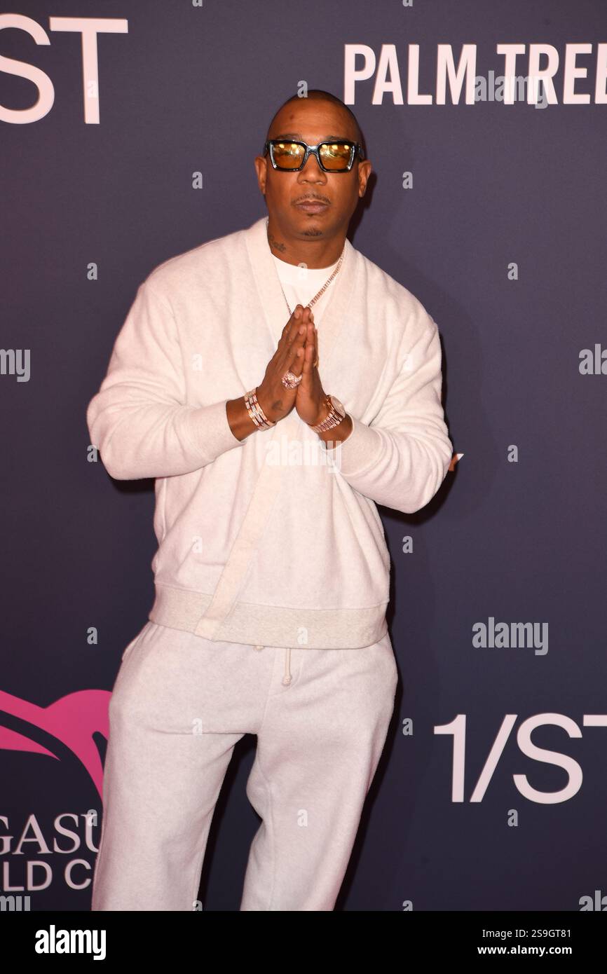 HALLANDALE, FL - JANUARY 25: Ja Rule attends Pegasus World Cup 2025 at ...