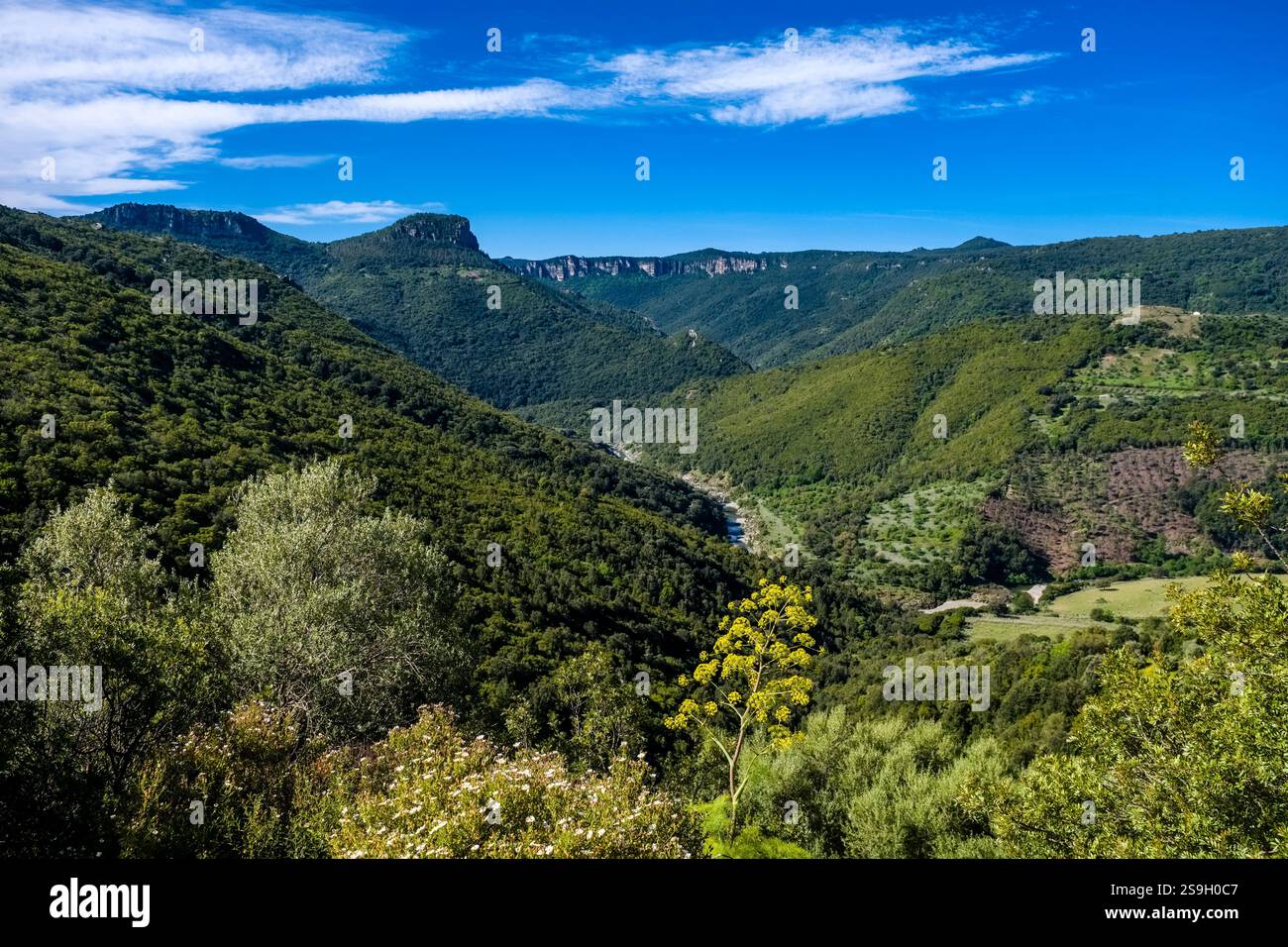 Landscape with wooded mountain slopes and steep rocky cliffs outside ...
