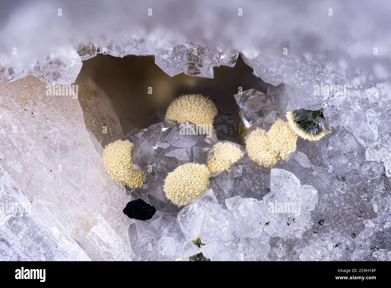 Antimony ochre hi-res stock photography and images - Alamy