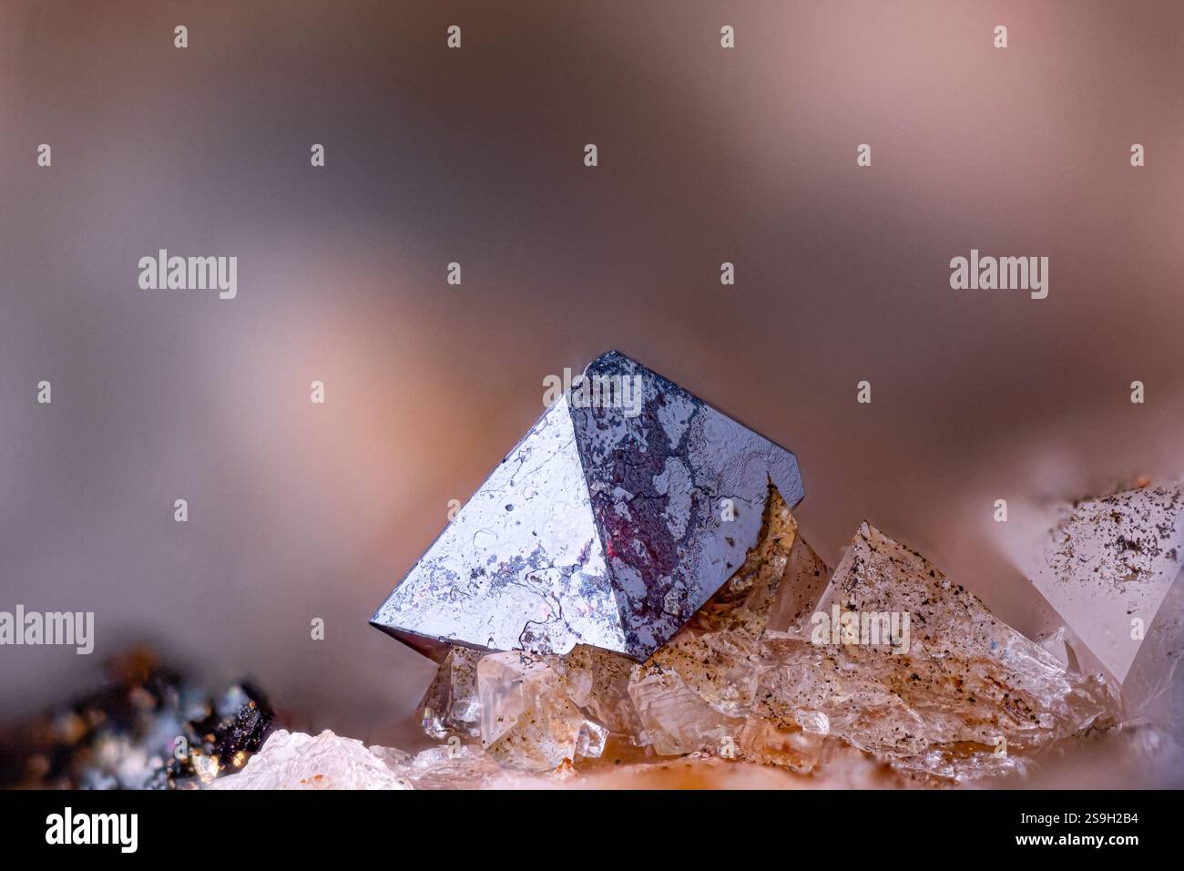 Cuprite crystal. Specimen from Clara mine, Oberwolfach, Germany. Micro ...