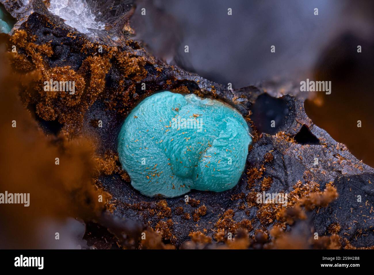pseudomalachite. Specimen from Silberbrünnle Mine, Gengenbach, Germany ...