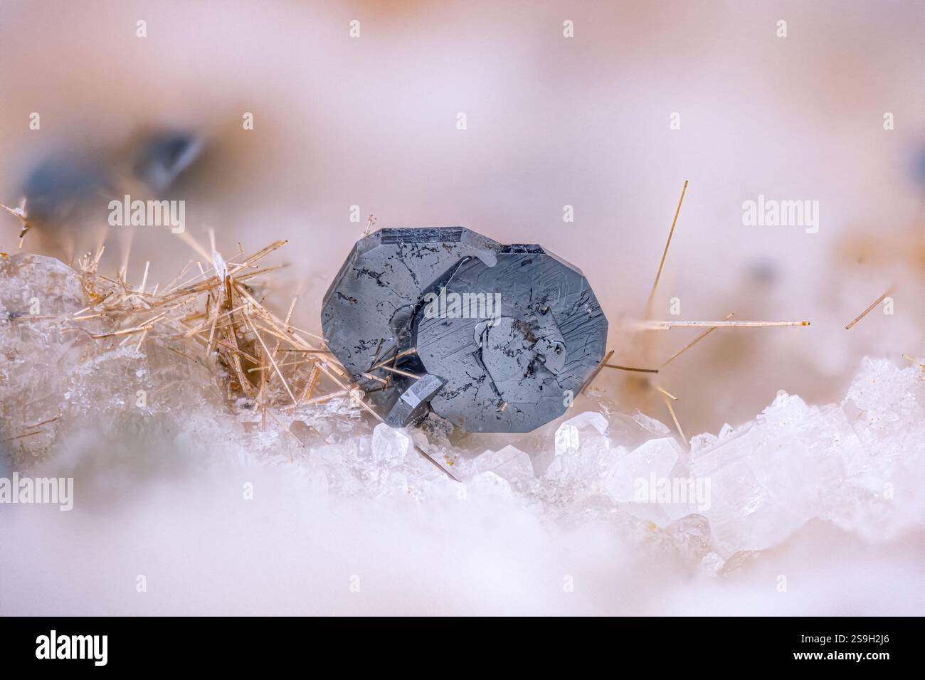 Hematite rose associated with rutile spike. Specimen from Iselle Quarry ...