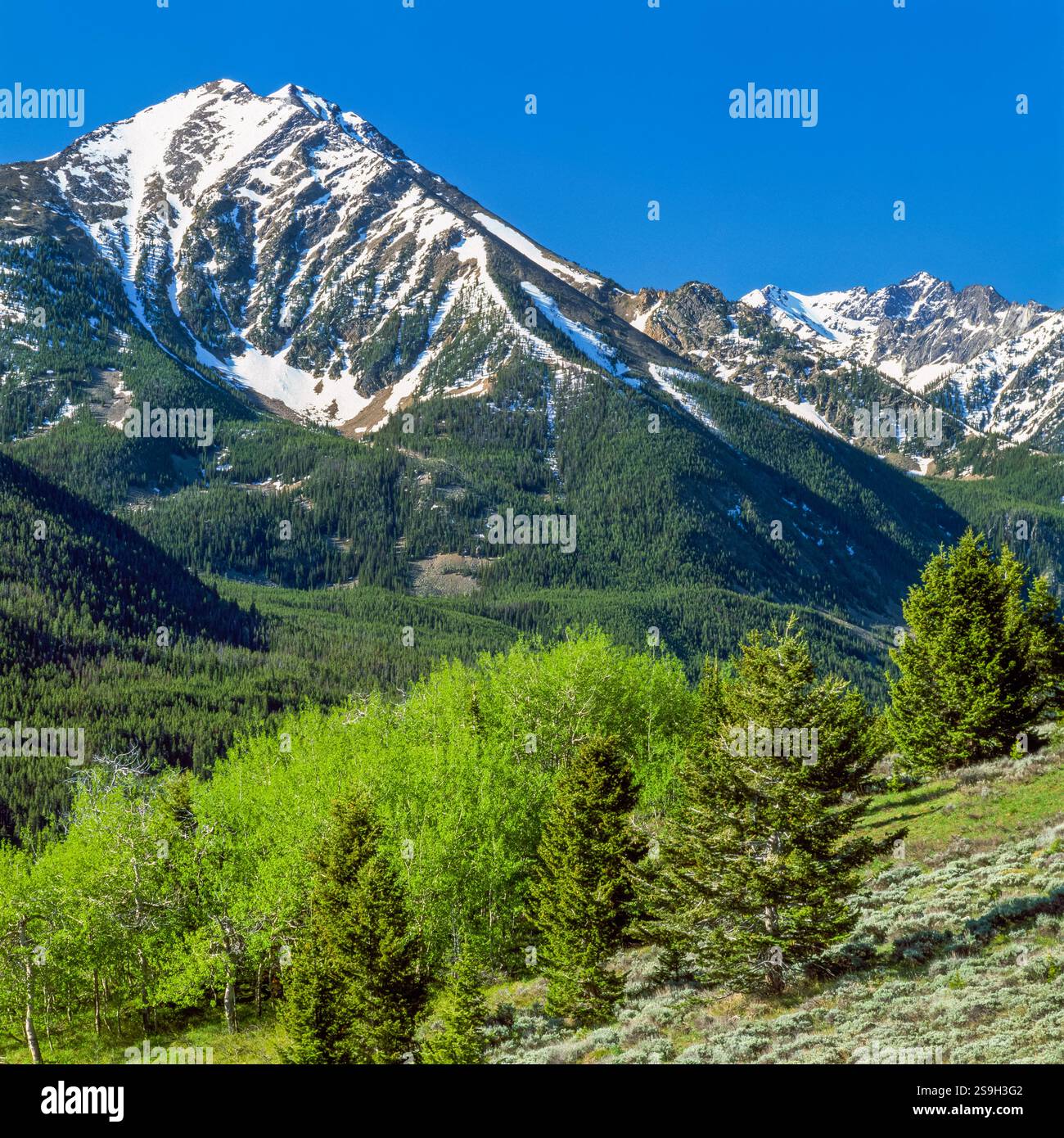 spanish peaks in the madison range of the lee metcalf wilderness near ...