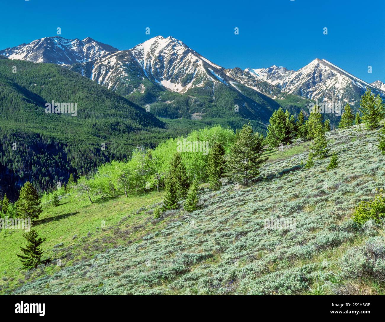 spanish peaks in the madison range of the lee metcalf wilderness near ...